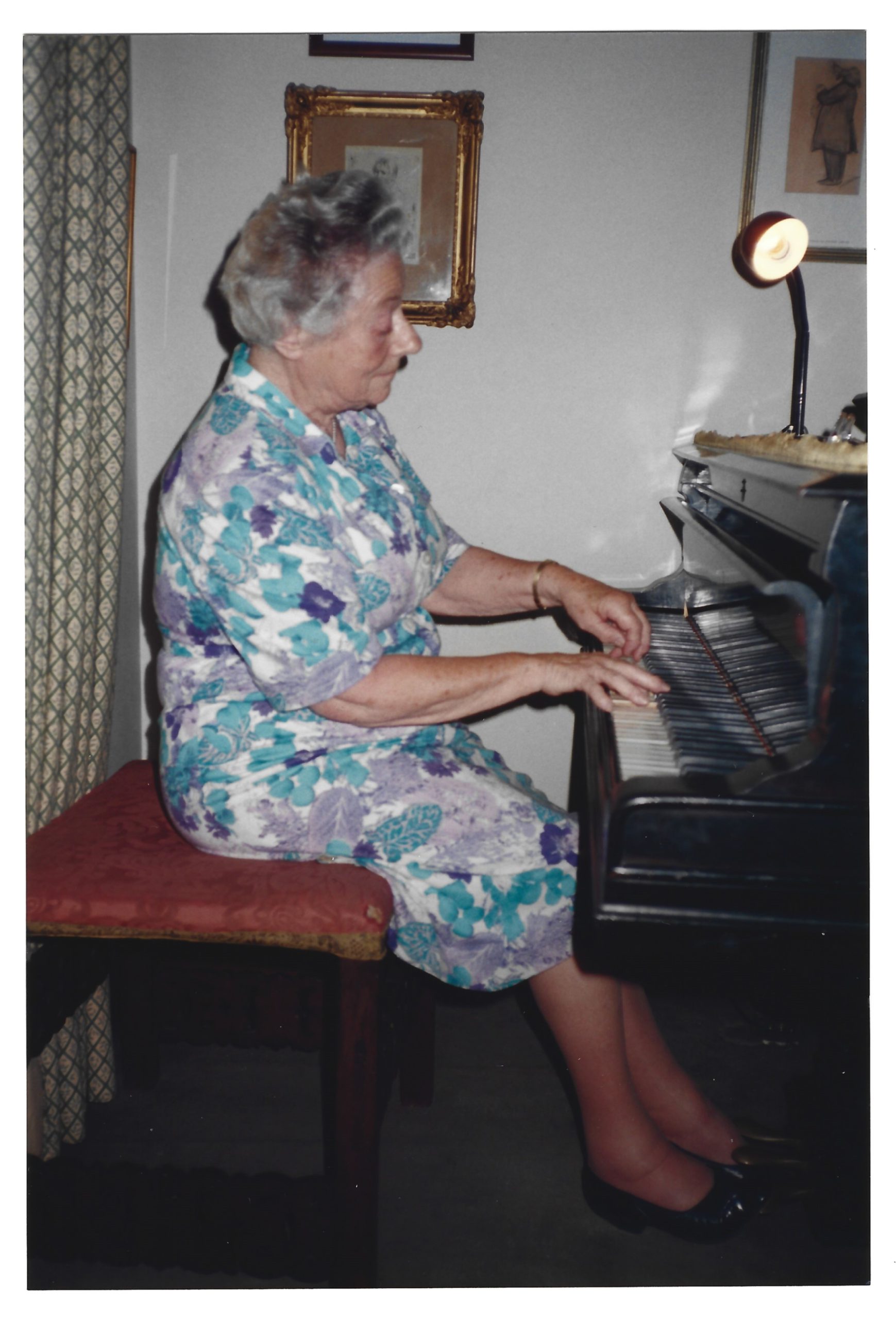 Mary Cook – A família Seruya